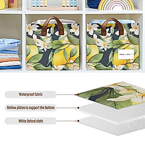 Emelivor Watercolor Yellow Lemon Black Storage Bins for Shelves Foldable Storage Baskets for Organizing Closet Shelf Nursery Home Decorative Rectangular Storage Cubes with Handles