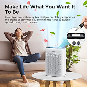 AROEVE Air Purifier with Two Filter(One Basic Version & One Pet Dand Version)