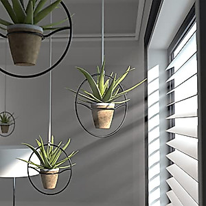 HOBBYMATE Plant Hangers Without Plant & Pot, Metal Hanging Plant Holder, Home Decorating Hanging Iron Art, 3 inches Rose Black Color