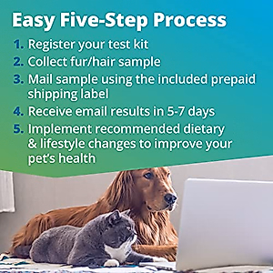 5Strands Pet Raw Food Intolerance & Environmental Sensitivity Test, at Home Test for Dogs & Cats, Hair Sample Collection Kit, All Ages and Breed, Results in 7 Days