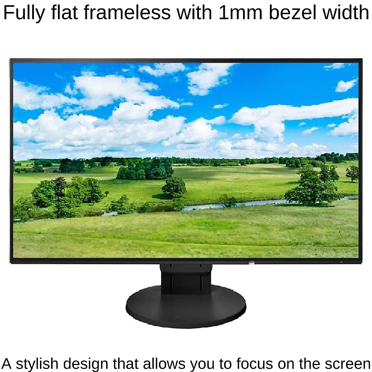 EIZO FlexScan EV2456 24.1" Professional IPS LCD Monitor 1920x1200 EV2456FX-BK