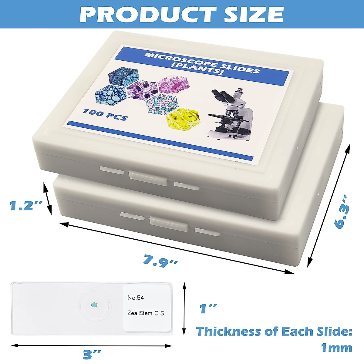 Prolee 200 Packs Microscope Slides, 100 Plants & 100 Animal Tissues Includes Labels and Case for Biological Science Education