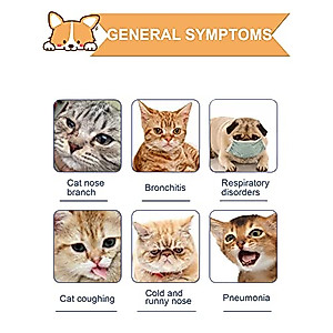 YHWD Pet Dog Cat Oxygen ICU Cage, 100L Puppy Incubator, PET Brooder Nursery, Puppy Nncubator for Cough Breathing Treatment Nebulization Box （Contains only Box）