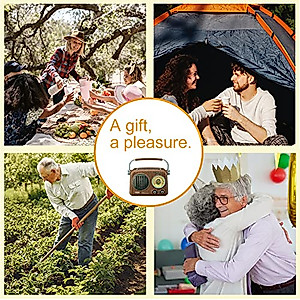 Gelielim Retro Radio Bluetooth Speaker with Clear Sound, Portable Radio AM FM Shortwave Radio with Best Reception, Solar/Rechargeable Transistor Radio, Support TF Card/USB Playing for Gift,Elder,Home