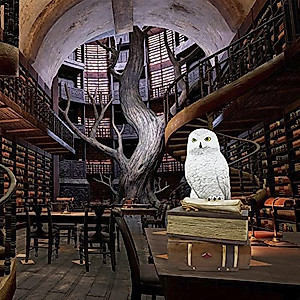 World of Wonders Wizard School White Owl Sculpture Decorative Box with Lid | Knick Nacks for Shelves and Owl Decor | Home Decor for Table Top | Book Lover Gift - 9"