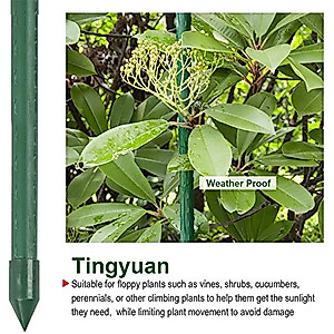 TINGYUAN Garden Stakes 36 Inches Steel Plant Stakes, Pack of 25