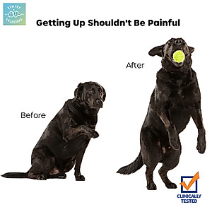 Glucosamine for Dogs - Advanced Dog Hip & Joint Supplement with Chondroitin & Hyaluronic Acid - 60 Soft Joint Health Chews - Made in USA