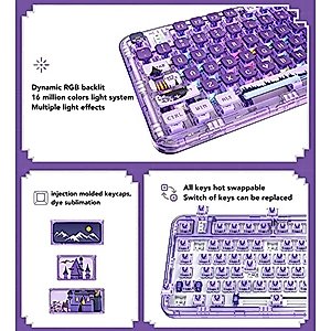Mechanical Keyboard, 80 Keys Triple Modes Gasket Structure Transparent Case Hot Swapable Mechanical Gaming Keyboard,for Gaming Studying