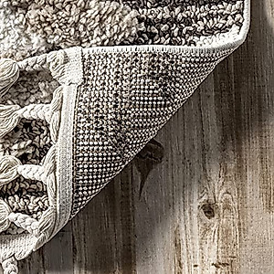 nuLOOM Adelade Aztec High Low Shaggy Tassel Area Rug, 8' 10" x 12', Beige