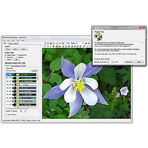 pbnArtist Advanced for Windows - Create Paint By Numbers, Cross Stitch and Coloring Pages from your Favorite Photographs