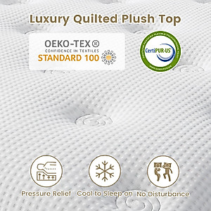 FLEXPEDIC Queen Size Mattress,14 Inch Memory Foam Hybrid Mattresses in a Box with Individual Pocket Spring,Khaki Mattres Breathable Comfortable for Sleep Supportive and Pressure Relief,CertiPUR-US