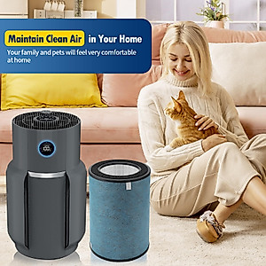 Senowi 2 Pack NeverChange True HEPA HP301 HP302 HP305 Replacement Filter Compatible with Shark HP301,HP302 NeverChange Air Purifier MAX,HP201 HP202 and HC501 HC502 Air Purifier MAX,Part #:HE3FKPET