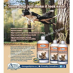 Omega Alpha Pets Performance and Mobility- GlucosaPet (1L)