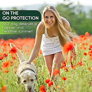 TriOak Flea Collar for Dogs: Advanced Dog Flea Collar - Tick Collar for Dogs - Flea and Tick Collar for Dogs - Dog Flea and Tick Collar - Dog Tick Collar, Color: Gray, 4 Pack