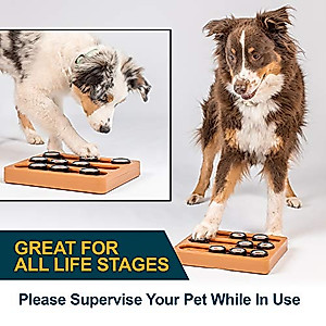 Our Pets Sushi Interactive Puzzle Game Dog Toys & Cat Toys (Dog Puzzle, Cat Puzzle & Interactive Dog Toys) Great Alternative to Snuffle Mat for Dogs, Slow Feeder Dog Bowls & Slow Feeder Cat Bowl