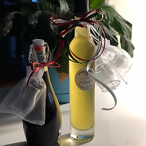 Hwceo Organza Gift Bags 50 Pcs Drawstring 4x6 inch White for Baby Shower,Girl Birthday,Mom Party Favors,Wedding,Bridal Shower,Valentines Day,Xmas,Bulk Sheer Fabric Mesh Tulle Sachet for Jewelry,Candy