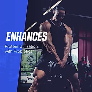 Bodybuilding Signature Signature Mass Gainer | 50g of Mass-Building Protein | Protein, Calories, Fats, Probiotics and Carbohydrates | 5 Lbs. Vanilla