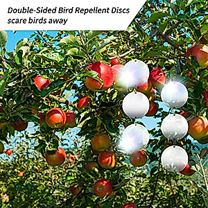 Hedoc Bird Repellent Scare Discs - Large Reflective Bird Deterrent Control Device - Keeps Woodpeckers and Birds Away (8 Pack)