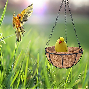 FlidRunest Natural Coir Bird Nest Small Medium Large Bird Swing for Parrot Parakeet Cockatiel Conure Finch Cockatiel Fiber Nest for Chinchilla Bunny