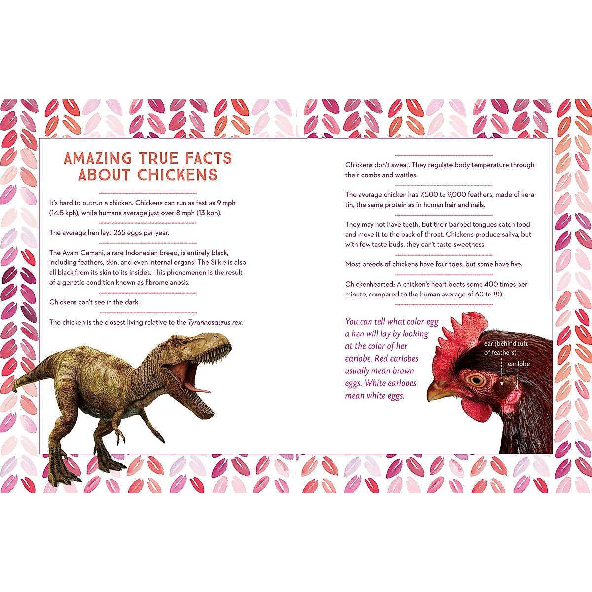 How to Speak Chicken: Why Your Chickens Do What They Do & Say What They Say