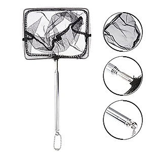 Yardwe and Saltwater * Sturgeon Aquarium Small Fish Tool Tank Accessory Portable Premium Ponds Tackle Retractable Stainless Fishing Dip Catching Nets Folding Outdoor Net 3pcs Trout