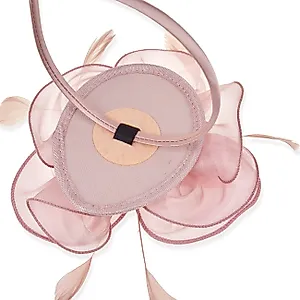 DRESHOW Fascinators Hat Tea Party Headwear Ribbons Feathers on a Headband and a Clip for Girls and Women