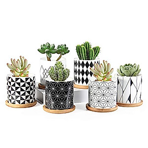 ZOUTOG Succulent Pots, 3 inch Ceramic Mini Succulent Planter Pot, Geometric Pattern Round Small Flower Pots with Drainage and Bamboo Tray, Pack of 6 - Plants Not Included
