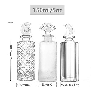 Clear Vintage Glass Bottles with Stopper Set of 3, Embossed Glass Bottles, Reed Diffuser Sets, Apothecary Flower Bud Vases, SC036