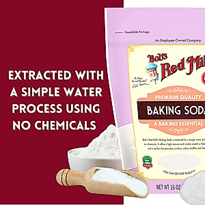 Gluten Free Baking Soda Bundle. Includes 1-16 Oz Resealable Bag of Bobs Red Mill Baking Soda. Bobs Red Mill Baking Soda is Certified Gluten Free, Non GMO & Kosher Comes with a BELLATAVO Fridge Magnet!