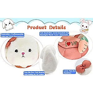 HWD 9.8'' Soft Plush Rabbit Dolls [ Clothes Detachable ], Stuffed Animals Toys, Gifts for Kids Birthday Christmas Day (Pink)