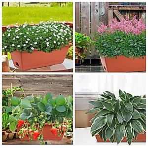 8pcs Window Box Planter,17 Inches Flower Window Boxes, Rectangle Planters Box with Drainage Holes and Trays, Plastic Vegetable Planters for Windowsill Patio Garden Home Decor Porch Yard (Red)