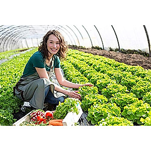 20 oz 100% Organic Worm Castings – Natural Superfood for Plant Growth, Root Development & Growing Healthier, Stronger Crops – Non Toxic & Kind to Soil – Resealable Zip Pouch – Life Cycle Organics