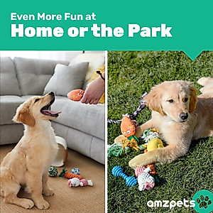 AMZpets 10 Dog Toys for Small Dogs and Puppies, Squeaky Dog Toys Rope Toys for Plush Games, with Chewing Ropes/Balls/Rubber Bone/Carry Bag, Variety Playing Toys Set for Toss and Tug Play