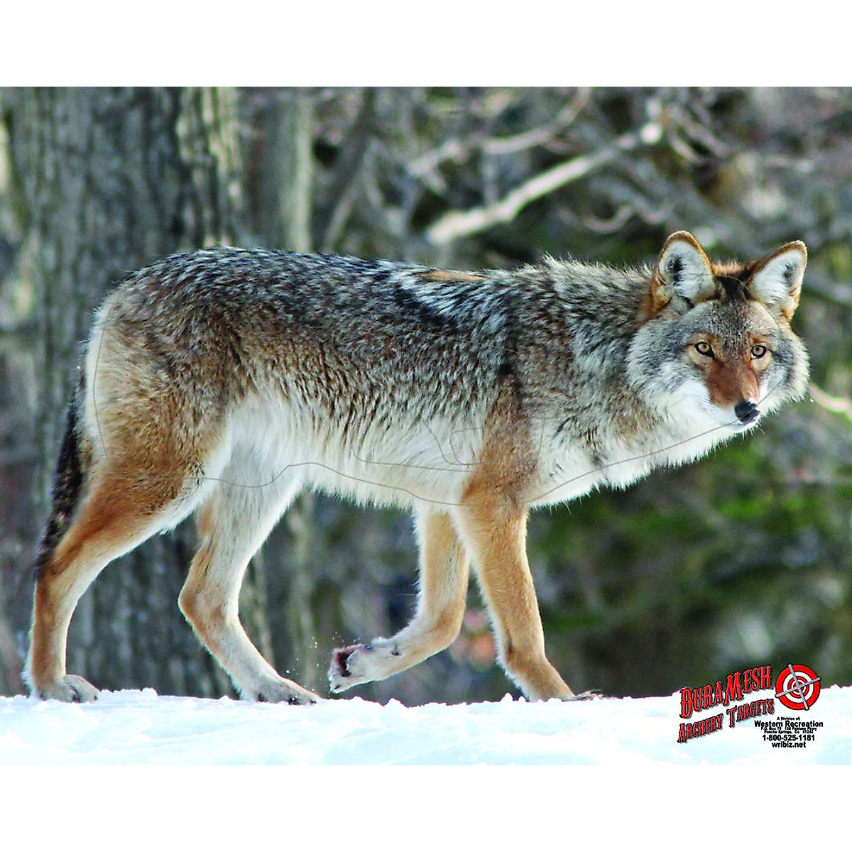 Duramesh Archery Targets Coyote, DM209