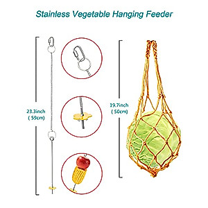 Woiworco 5 Packs Chicken Toys, Chicken Xylophone Toy for hens, Chicken Mirror Toys, Chicken Ladders Swing Toys and Vegetable Hanging Feeder Chicken Coop Accessories