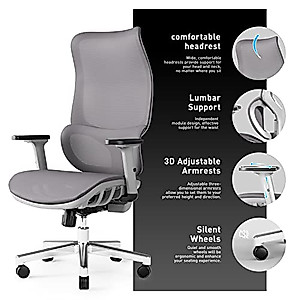 JOYFLY Big and Tall Office Chair, 450 lbs Ergonomic Office Chair for Heavy Duty with Lumbar Support & 3D Armrests, Home Office Desk Chairs with Extra Wide Seat, High Back Executive Chair,Adults,Grey