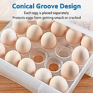 Egg Holder for Refrigerator, THIPOTEN 60 Grid Eggs Storage Container for Refrigerator, Perfect Household Egg Organizer for a Hobby Farm