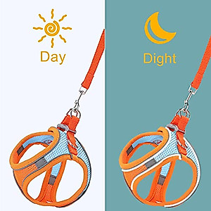 Soft Mesh Dog Harness and Leash Set for Walking Summer Step in Vest Harness Reflective Bands Adjustable No Pull Pet Supplies for Small Dogs and House Cats Belly Bands for Dogs with Snaps (Orange, XS)