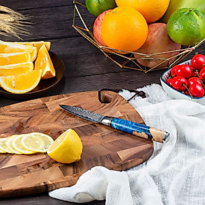 Fukep Paring Knife 3.5 Inch Damascus Paring Knife Small Fruit Knife Ultra Sharp Damascus VG10 Core Steel with 66 Layers High Carbon Steel Classical Pattern Blue Handle