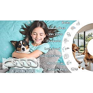 Calming Collars for Dogs, Dog Anxiety Relief, Calming for Dogs, Anxiety Collar for Dogs, Anti Anxiety for Dogs, Pheromone Collar for Dogs, DAP Collar for Dogs, Dog Stress and Anxiety Relief