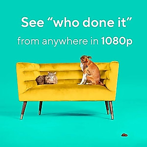 Wyze Cam Pan v2, Pan/Tilt/Zoom Indoor Wi-Fi Smart Home Security Camera with 1080p Color Night Vision, Motion and Sound Detection for Baby & Pet, Compatible with Alexa & Google Assistant, White