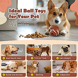 Dog Distraction Toy - Dog Toys to Keep Them Busy to Reduce Anxiety, Medium Chew Toy Ball Treat Dispenser with Freezable Fillable Treats Tray Mold for Aggressive Chewer, 4-IN-1 Mentally Stimulating Toy