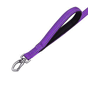 EXCELLENT ELITE SPANKER Strong Durable Nylon Dog Training Leash Traction Rope 5 Feet Long 3/4" Wide with Poop Bag Holder for Small Dogs(Purple)