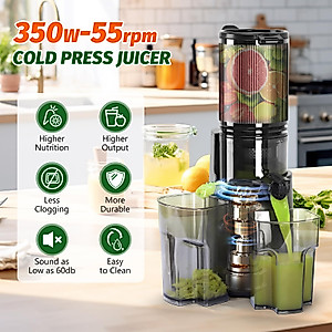 LQZ Cold Press Juicer,Slow Masticating Juicer Machines,350W Juice Extractor Machine,5.3" Large Bore Feed Chute Fit Whole Vegetables and Fruits,Easy to Clean Juicer（Black）
