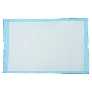 Medline Quilted Basic Disposable Blue Underpad, 23 x 36 for incontinence, Furniture Protection or Pet Pads (Pack of 150)