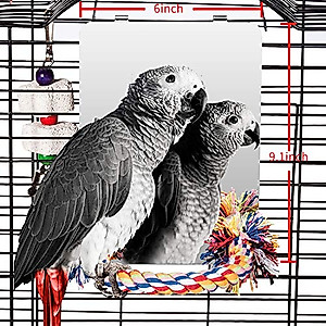 Colorday 9 inch Stainless Steel Bird Mirror with Rope Perch, Bird Toys Swing (Large)