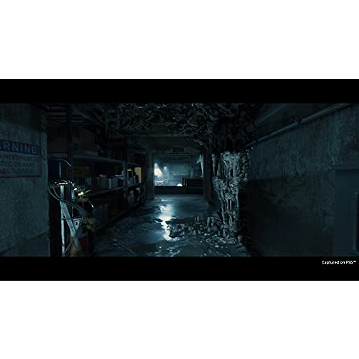 Death Stranding Director's Cut (PS5)