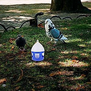 Mipcase Ser of 2 Pigeon Water Feeder Bird Water Drinker Pigeon Water Drinker Plastic Pigeon Feeder Pigeon Water Dispenser