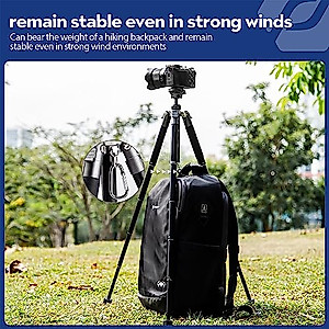 Fotopro Mini Tripod, 55" Lightweight Compact Travel Tripod with Ball Head Phone Mount Detachable Selfie Stick, Aluminum Camera Phone Tripod Max Load up to 8.8 lbs, FY810 Black