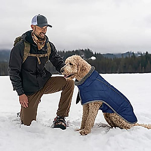 Fragralley Dog Winter Coat Jacket - Reflective Adjustable Windproof Dog Turtleneck Clothes, Doggie Cold Weather Vest, Warm Fleece Lining Puppy Snow Coat for Small Medium Large Dogs (Medium, Blue)